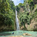 Moalboal Sardine Run, Sea Turtle and Mantayupan Falls - What Makes This Tour Stand Out