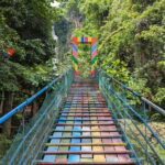 Moalboal Sardine Run, Sea Turtle & Mantayupan Falls - What’s Included and What to Budget For