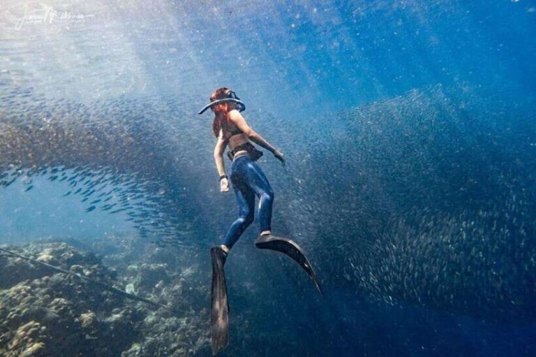 Moalboal: Scuba Diving and Pescador Island Hopping - Key Highlights of the Tour