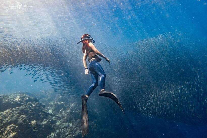 Moalboal: Scuba Diving and Pescador Island Hopping - Key Highlights of the Tour