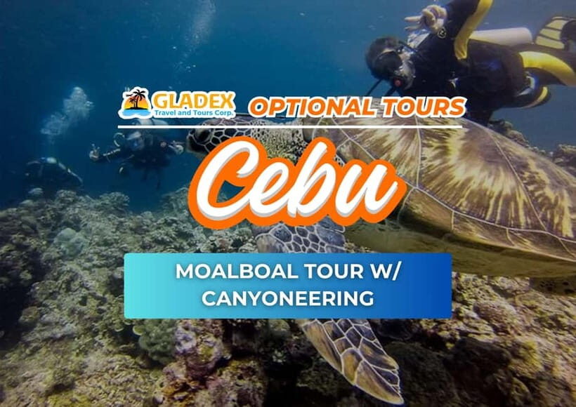 Moalboal Tour with Canyoneering - What’s Included & Practical Tips