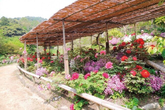 Mojiko Retro, Kawachi Wisteria and Shiranoe Gardens Tour YokaBus - Who Is This Tour Best For?