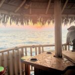 Monday & Thursday Nights Harbor Lights Tiki Tour - The Boat & Comfort