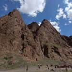 Mongolia: Gobi Desert and Kharkhorin, Central Mongolia Tour - The Sum Up: Who Should Consider This Tour?
