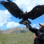 Mongolia Nomad Trek  On-Foot & Horseback ~ 15 Day - The Practical Side: Transportation and Logistics