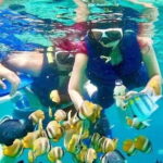 Monkey Bar and snorkling adventure at blue lagoon. - Who Will Love This Tour?