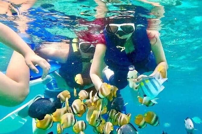 Monkey Bar and snorkling adventure at blue lagoon. - Who Will Love This Tour?