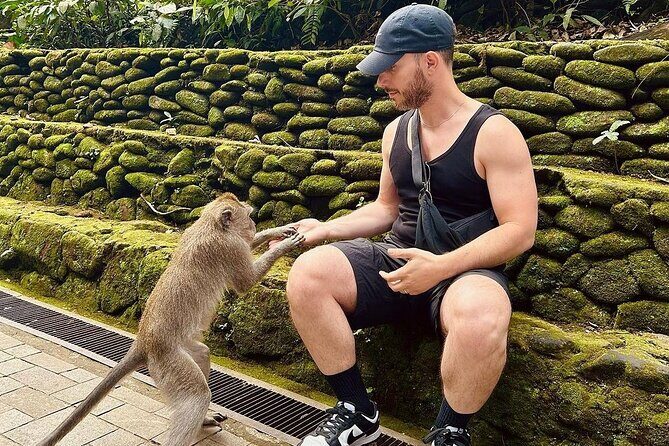 Monkey Forest, Rice Terrace & Water Temple Tour - What to Expect: Logistics, Value, and Overall Experience