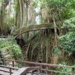 Monkey Forest Ubud Half day Tour - Practical Considerations and Booking Details