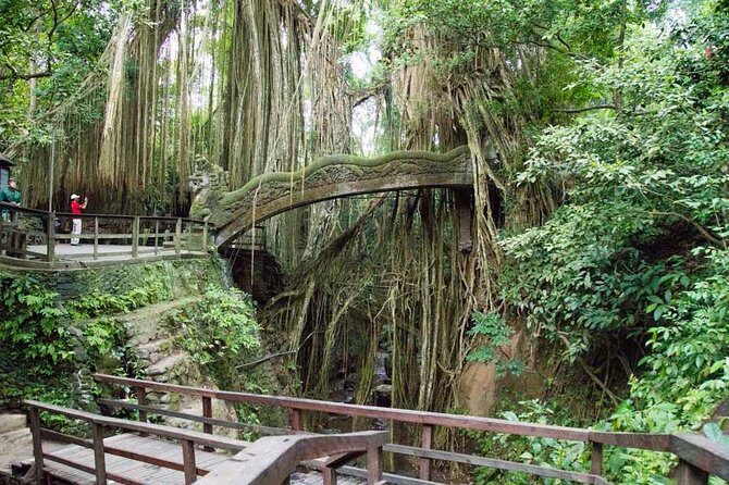 Monkey Forest Ubud Half day Tour - Practical Considerations and Booking Details