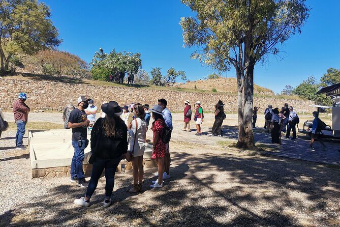 Monte Alban - Full Day Guided Tour with or without Food - Oaxaca - Transportation and Group Size