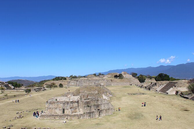 Monte Alban Only - Half Day Guided Tour - Oaxaca - Transportation and Convenience
