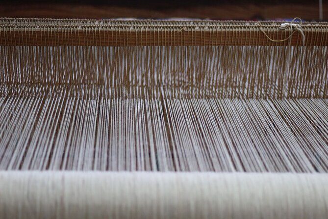 Monte Alban, Teotitlan and Mezcal Tour - Authentic Reviews and Honest Feedback