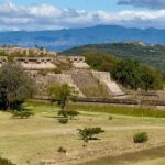 Monte Alban Tree of the Tule Mezcal and Teotitlan del Valle Tour - The Tule Tree: Natures Monument
