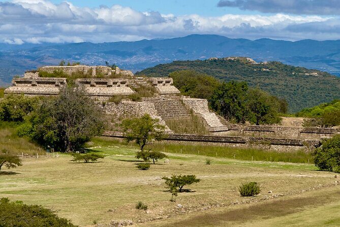 Monte Alban Tree of the Tule Mezcal and Teotitlan del Valle Tour - The Tule Tree: Natures Monument