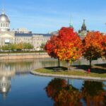 Montreal Scavenger Hunt and Highlights Self-Guided Tour - What Makes This Tour Special