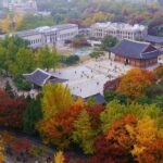 Moonlight Stroll at Seoul Palace - Doldam-gil: The Historic Stone-Wall Walkway
