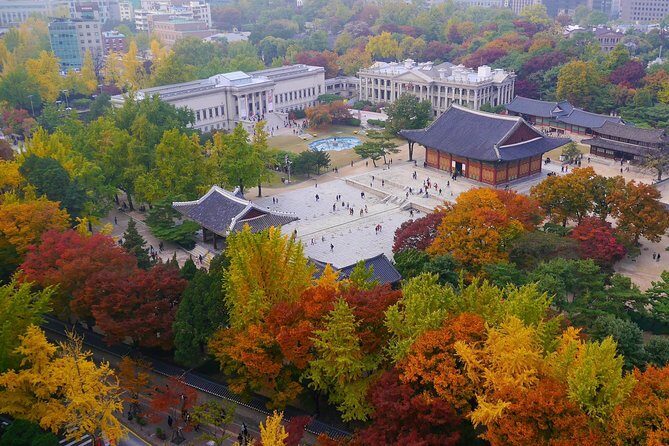 Moonlight Stroll at Seoul Palace - Doldam-gil: The Historic Stone-Wall Walkway