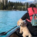 Moraine Lake Shuttle Bus with a Stop in Lake Louise - An In-Depth Look at the Tour Experience