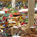 Mormugao (Goa) shore excursions - Authentic Experiences and Traveler Insights