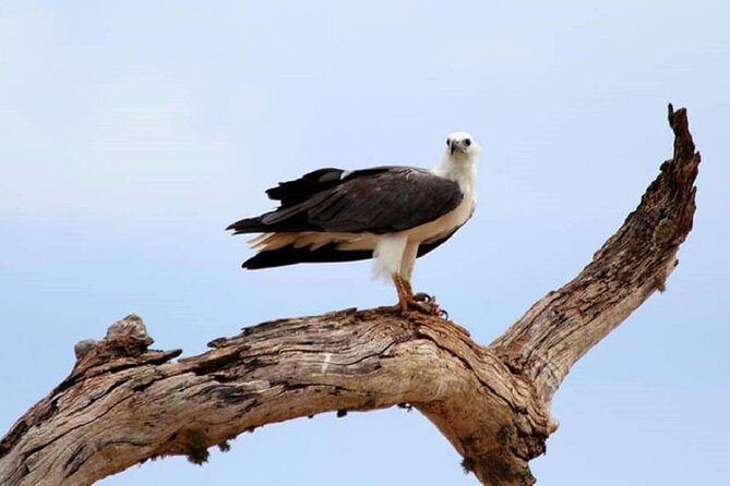 Morning 07 Hour Private Safari at Yala National Park by Yala La Safari Tours - The Review in Brief: What People Are Saying