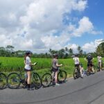 Morning Best Bali Cycling Kintamani Tour - An In-Depth Review of the Bali Cycling Tour