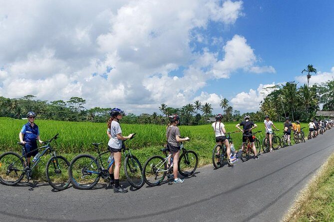 Morning Best Bali Cycling Kintamani Tour - An In-Depth Review of the Bali Cycling Tour