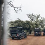 Morning game drive in Yala National Park - Detailed Breakdown of the Itinerary