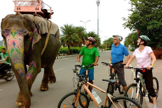 Morning Jaipur Cycle Tour with Food Testing - Practical Considerations