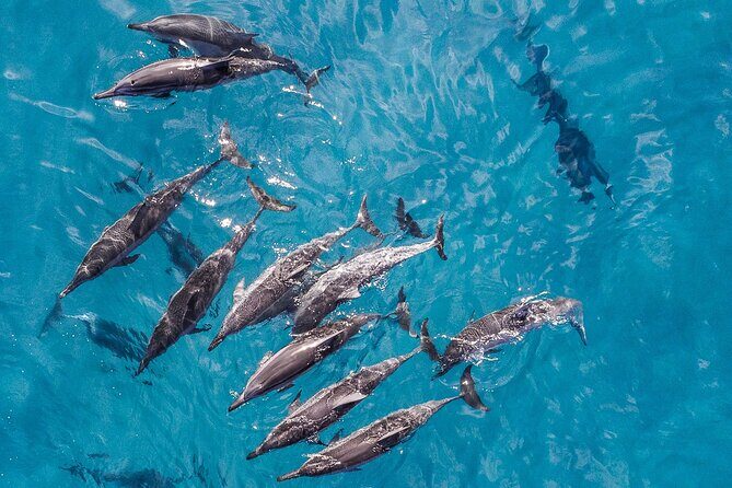 Morning Na Pali Adventure & Snorkel Tour (Hanalei Departure) - The Itinerary in Detail