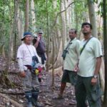 Morning Rainforest Walking from Langkawi - Who Will Love This Tour?