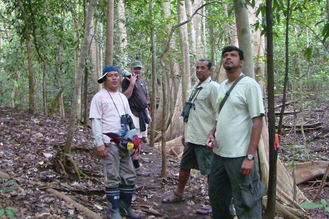 Morning Rainforest Walking from Langkawi - Who Will Love This Tour?