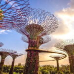 Morning Singapore City Tour w Gardens By The Bay Tickets - Who Would Love This Tour?
