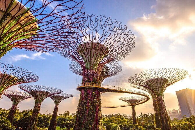 Morning Singapore City Tour w Gardens By The Bay Tickets - Who Would Love This Tour?