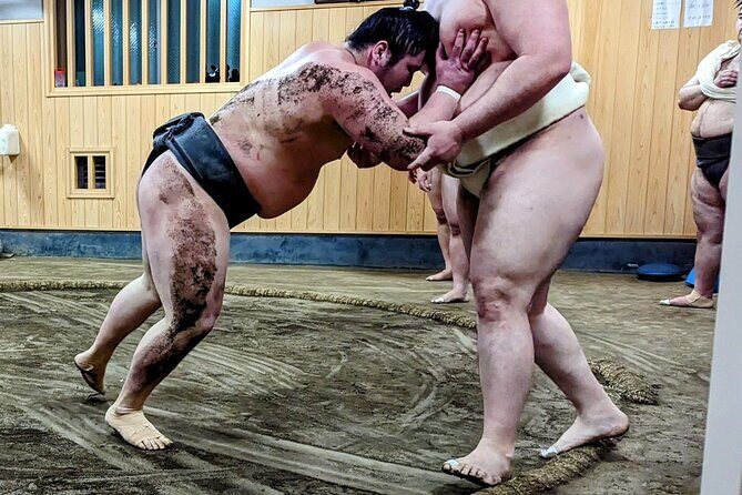 Morning Sumo Practice Viewing in Tokyo - Reviews and Real-World Perspectives