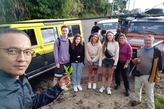 Mossy Forest in Brinchang Tour - Authentic Experiences Shared by Travelers