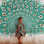 Most Popular Round Tour (5 Days) in Sri Lanka From Mirissa - The Itinerary — Day by Day