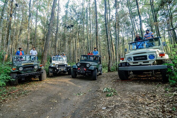 Mount Batur Trekking by 4wd Jeep - What’s Not Included and Practical Tips