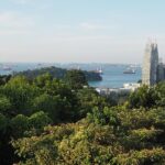 Mount Faber, Henderson Waves and Southern Ridges Tour - Alexandra Park: An Elevated Forest Walk