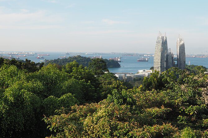 Mount Faber, Henderson Waves and Southern Ridges Tour - Alexandra Park: An Elevated Forest Walk