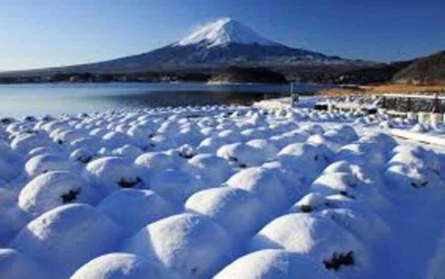 Mount Fuji and Hakone Day tour with English speaking Drivers - Choosing Your Itinerary: Two Ways to Experience