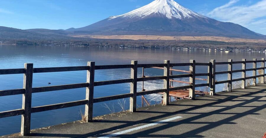 Mount fuji and Hakone day tour with English speaking guide - What Makes This Tour Stand Out