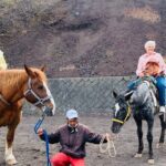 Mount Fuji And Hakone Private Customized English Tour with pickup - The Experience: What You Get and What It Means for You