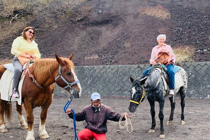 Mount Fuji And Hakone Private Customized English Tour with pickup - The Experience: What You Get and What It Means for You