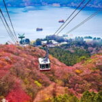 Mount Fuji and Hakone Private Day Trip by Car/Van - in English - Discovering the Highlights of Mount Fuji and Hakone