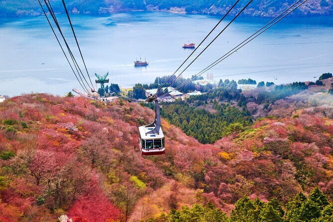 Mount Fuji and Hakone Private Day Trip by Car/Van - in English - Discovering the Highlights of Mount Fuji and Hakone