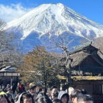 Mount Fuji and Hakone Private Tour With Pick And Drop - A Genuine Look at What You Get