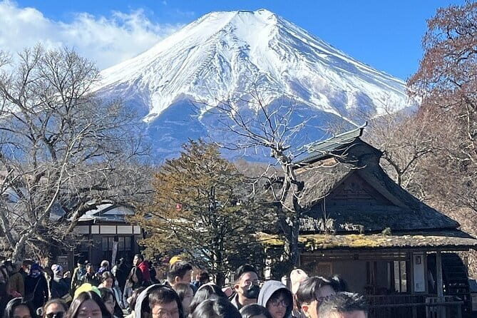 Mount Fuji and Hakone Private Tour With Pick And Drop - A Genuine Look at What You Get