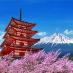 Mount Fuji and Hakone Tour with Personal Driver & Transport - The value of this tour