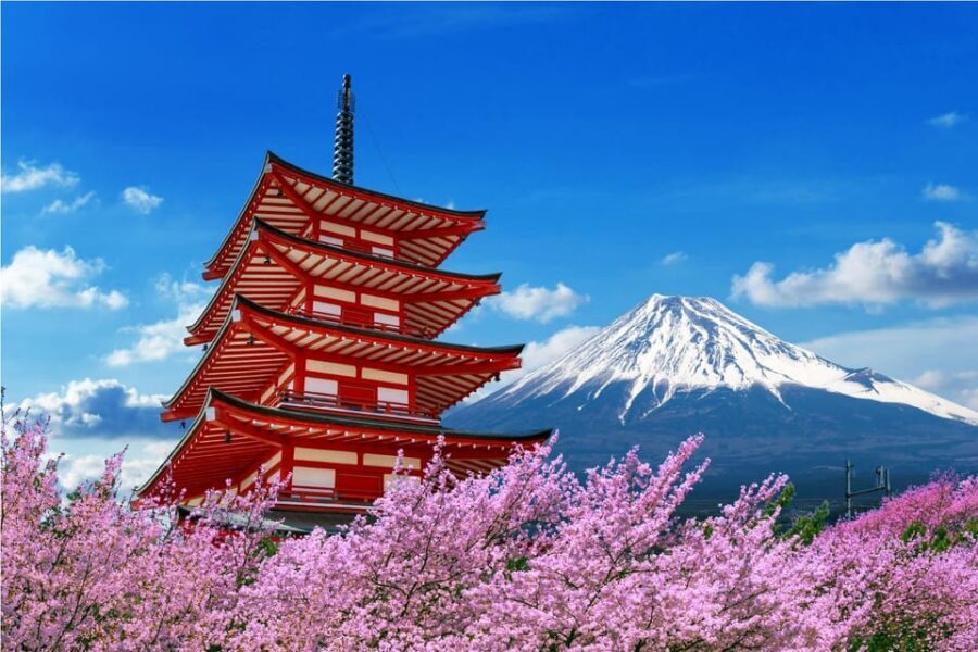 Mount Fuji and Hakone Tour with Personal Driver & Transport - The value of this tour